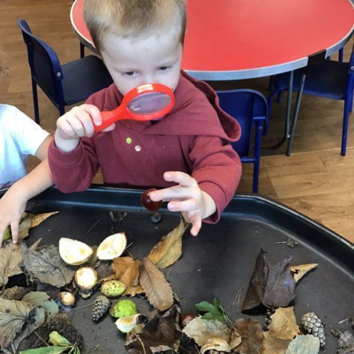 Prees CE Primary School And Nursery Nursery s Autumn Treasures