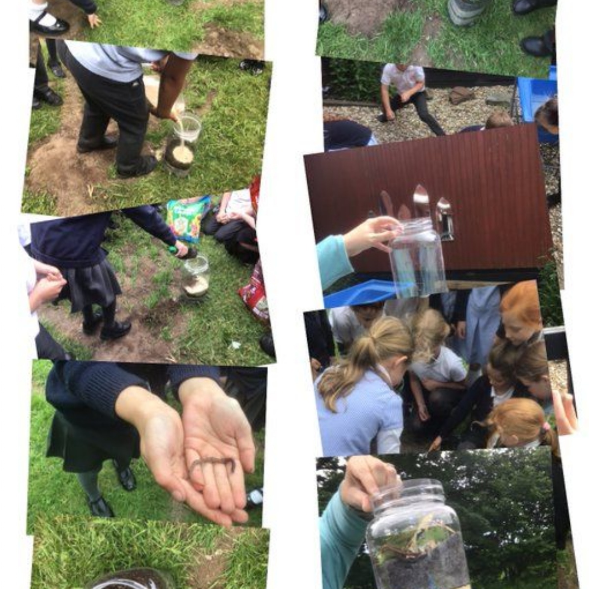 Prees CE Primary School and Nursery - Worms Wow Apple and Holly Classes