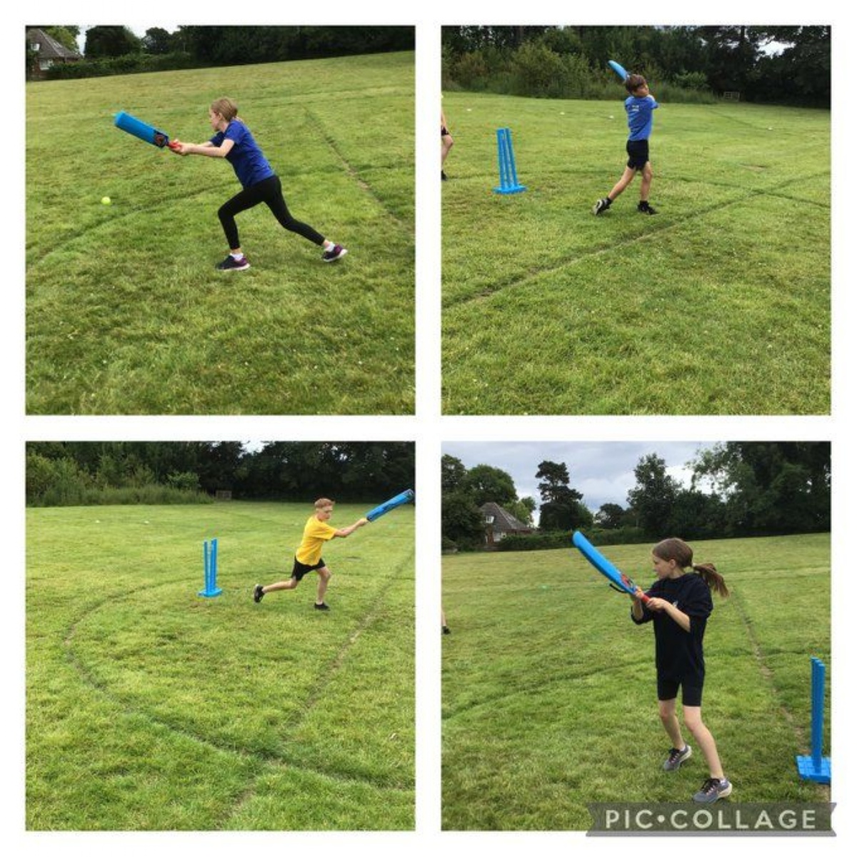 Prees CE Primary School and Nursery - National Cricket Week