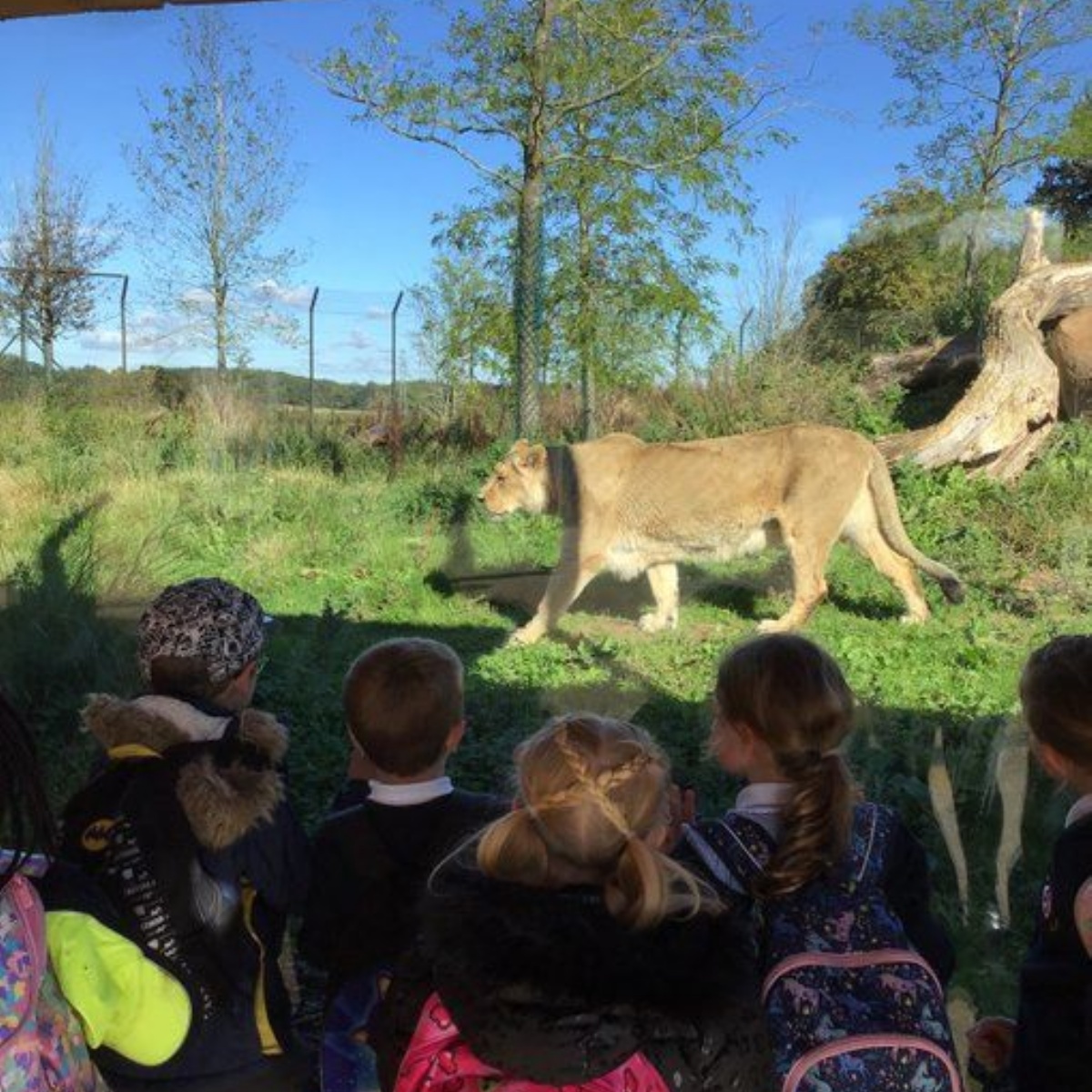 Prees CE Primary School and Nursery - Exciting Chester Zoo Visits