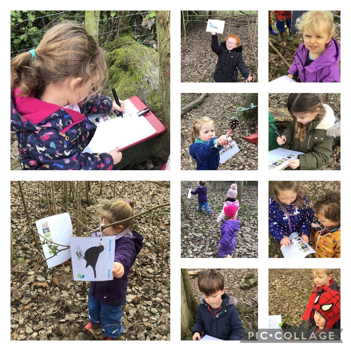 Prees CE Primary School and Nursery - Early Years' Forest Fun!