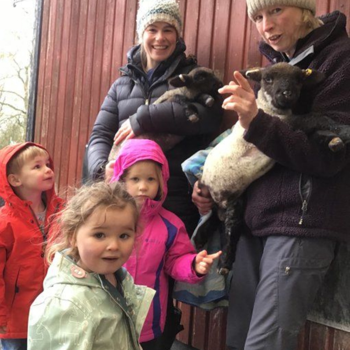 Prees CE Primary School and Nursery - Woolly Visitors, Thank You and ...