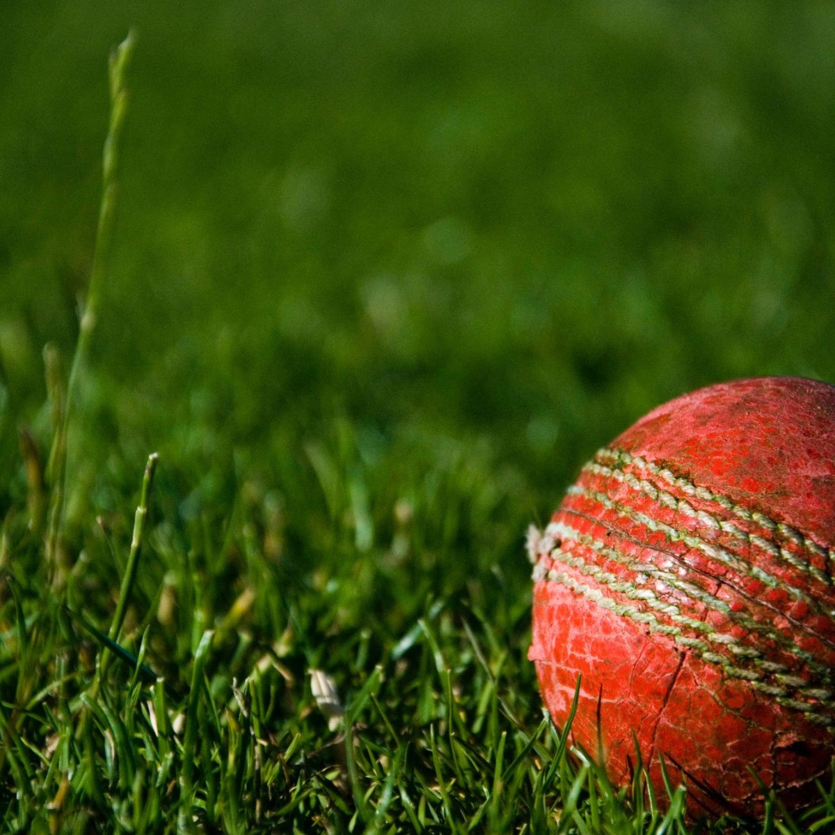 Prees CE Primary School and Nursery - Girls Enjoy Cricket Festival