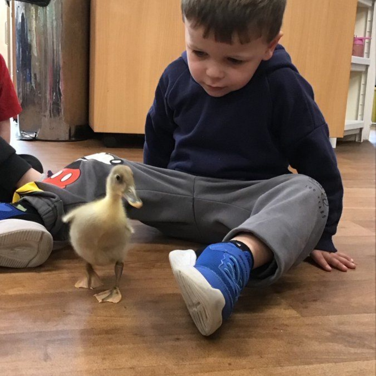 Prees CE Primary School and Nursery - Duckling Delights