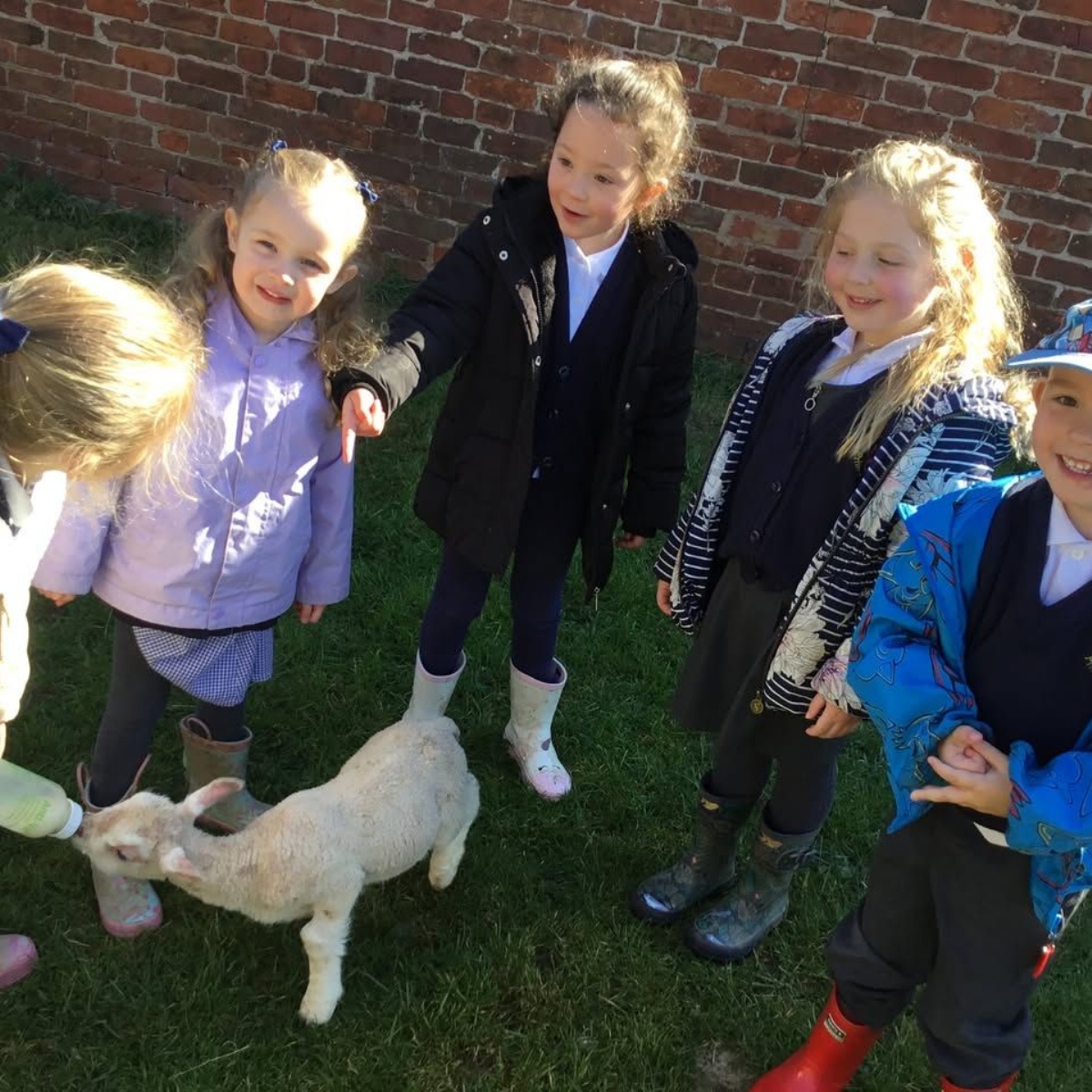 Prees CE Primary School and Nursery - Home Farm Delights