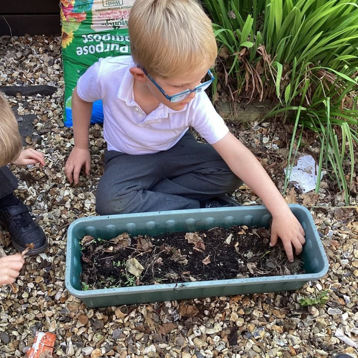 Prees CE Primary School and Nursery - Encouraging Pollinators
